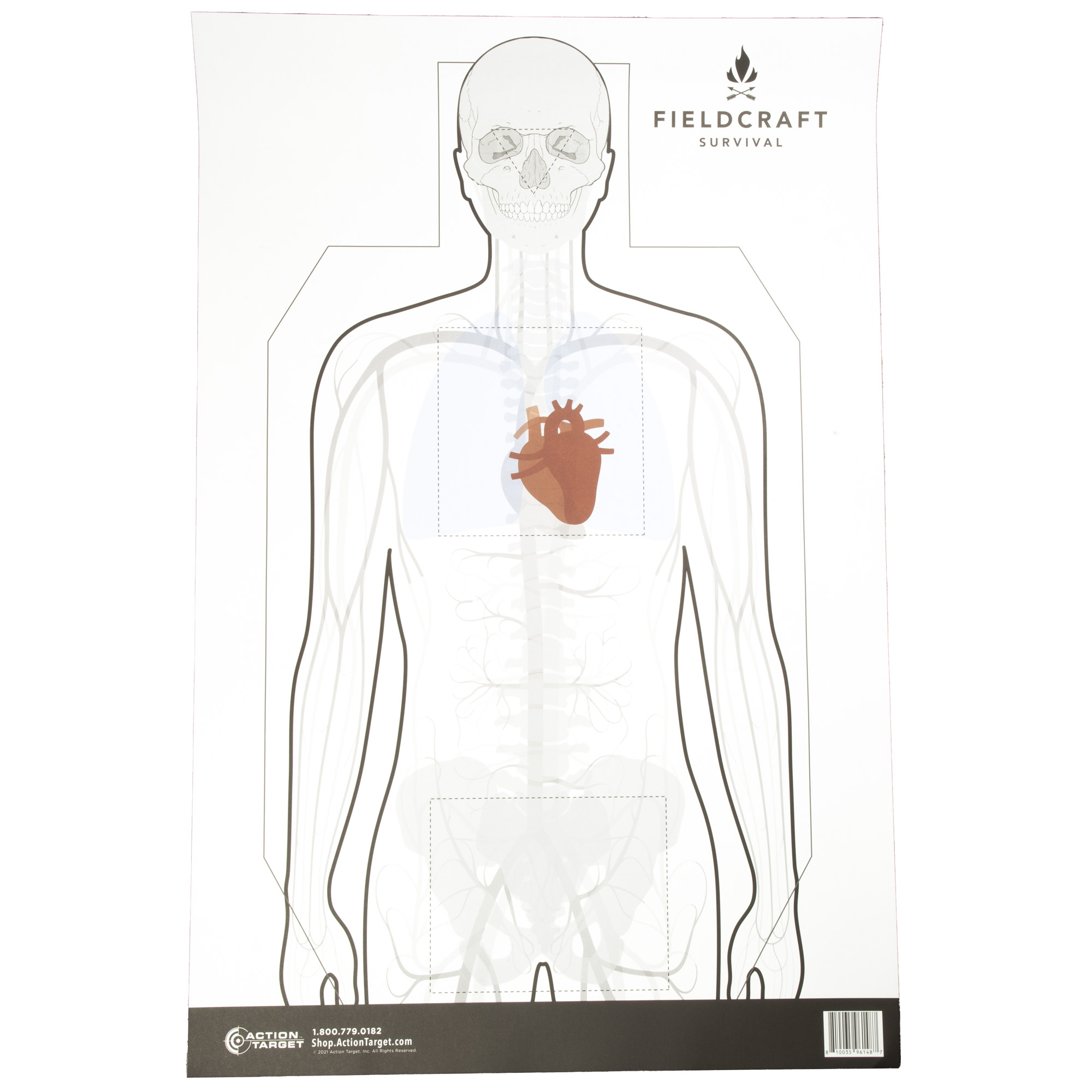 ACTION TARGET FC DBL SIDE TRNG 100PK - Shooting Targets at GunBroker ...