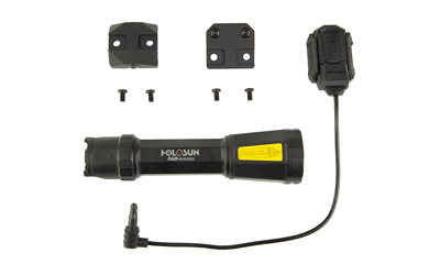 Holosun 1913 Picatinny Rail RAID Bore Light - Black
