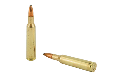 REM 6MM REM 100GR PSP CL 20/200 | Products | RSRGroup.com